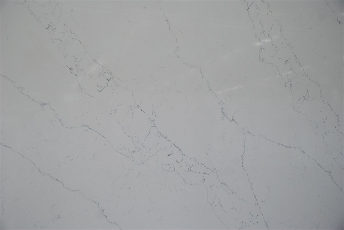 Calacatta Nuvo Quartz