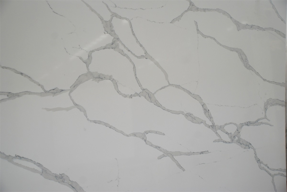 Calacatta Nuvo Quartz